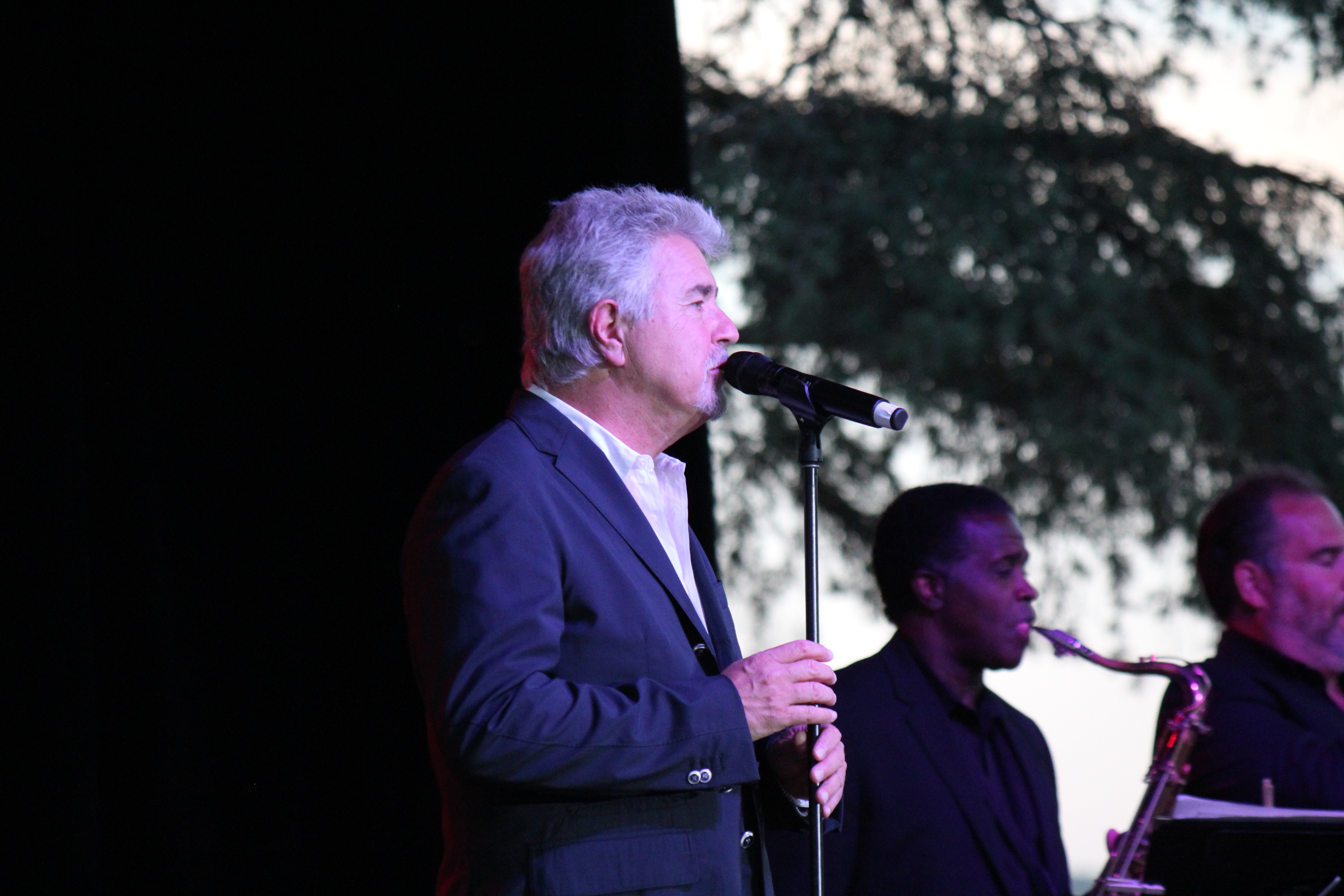 Martini Memories - Martini In The Morning